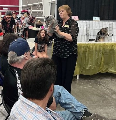 TICA Cat Show | Super Pet Expo
